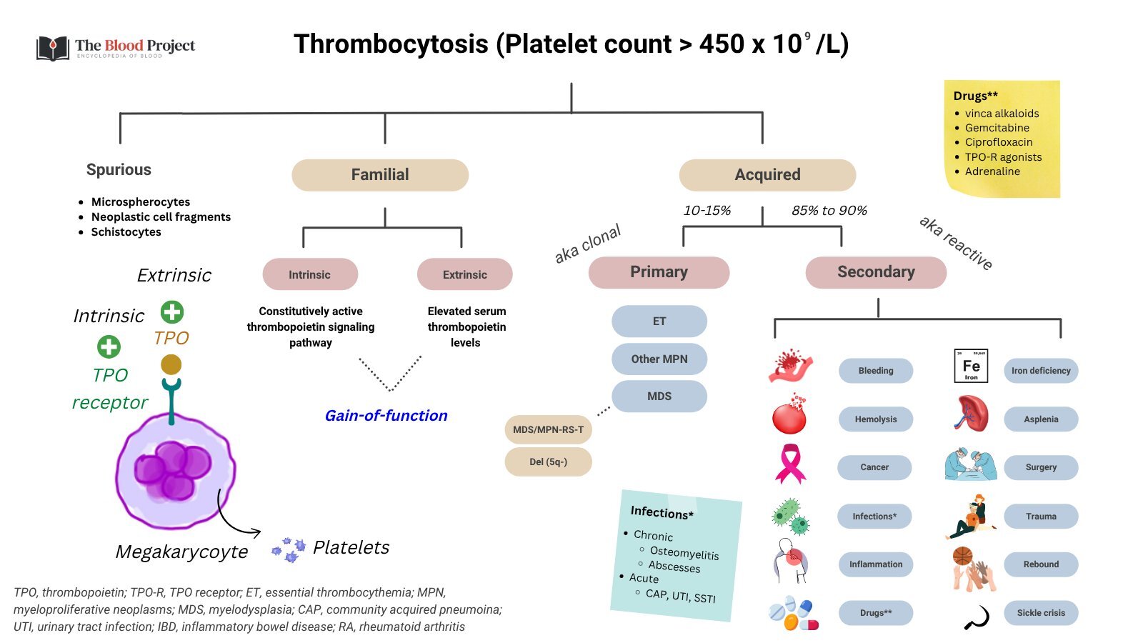 Unmasking Thrombocytosis: What a High Platelet Count Really Means ...