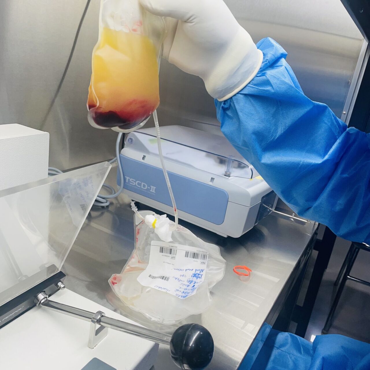 Priya Prasad: Behind Every Successful Stem Cell Transplant is Precise ...